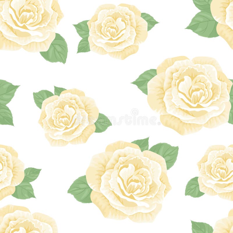White Colored Roses Seamless Pattern. Beautiful Flowers Vector ...