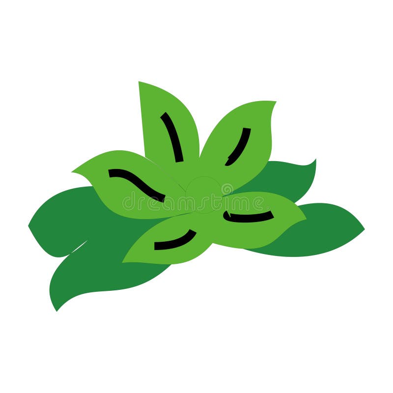 Resemble Leaves Stock Illustrations – 107 Resemble Leaves Stock ...