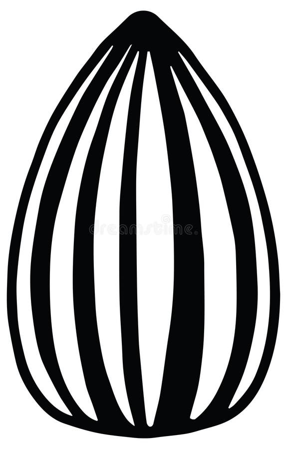 Sunflower Seed Outline Clipart Stock Vector - Illustration of outline ...