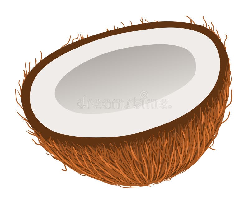 Coconut. Half a Coconut, Coconut Flesh. Vector Clipart. Stock Vector ...