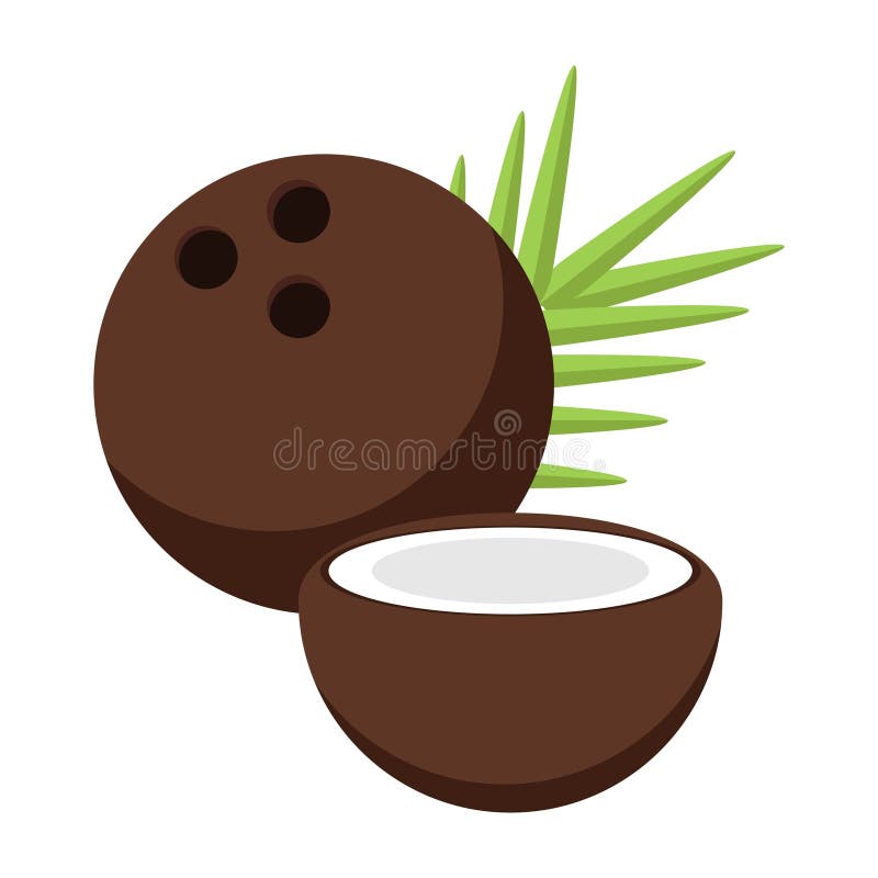 Coconut Cartoon Illustration. Stock Vector - Illustration of fruit ...