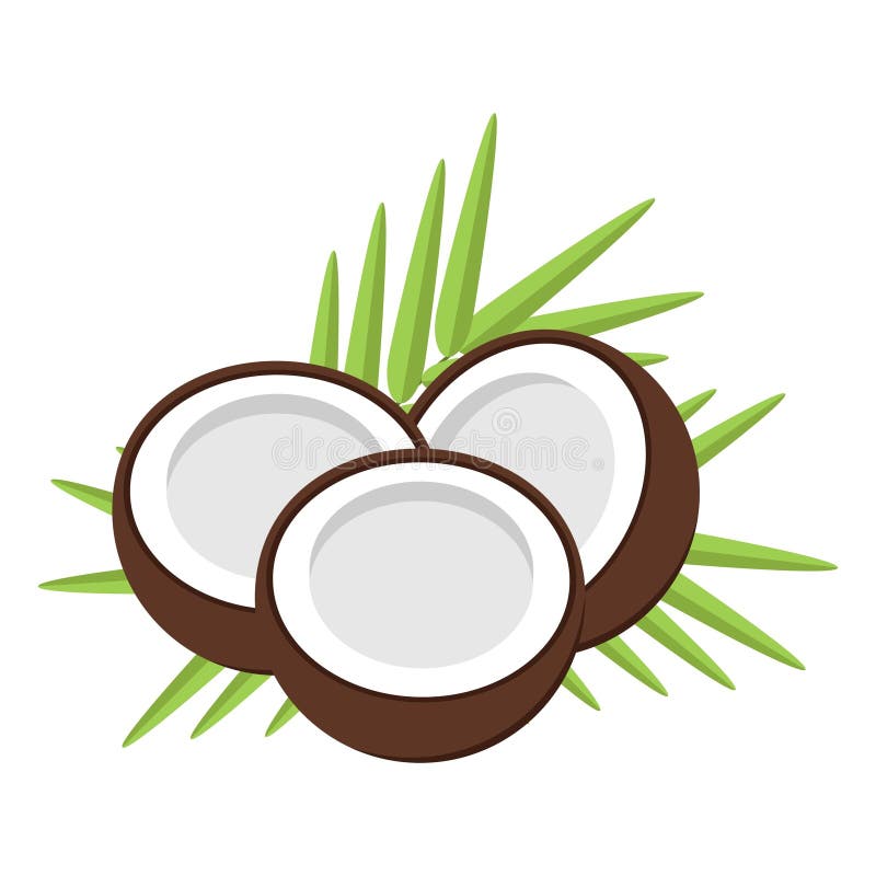 Coconut Cartoon Illustration. Stock Vector - Illustration of food ...