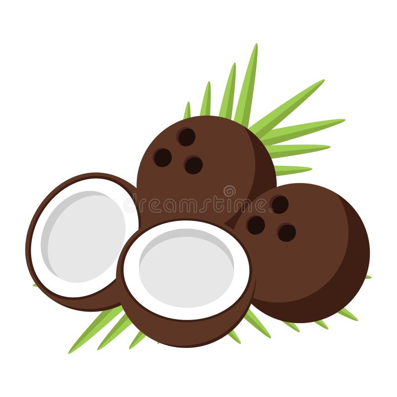 Coconut Cartoon Illustration. Stock Vector - Illustration of freshness ...