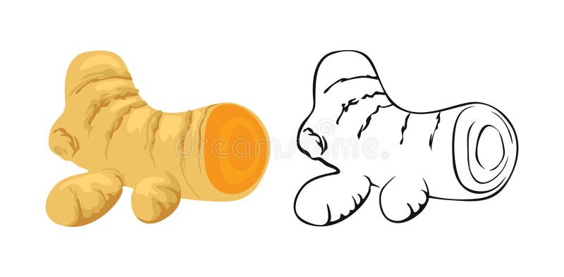 Turmeric Logo Stock Illustrations – 364 Turmeric Logo Stock ...