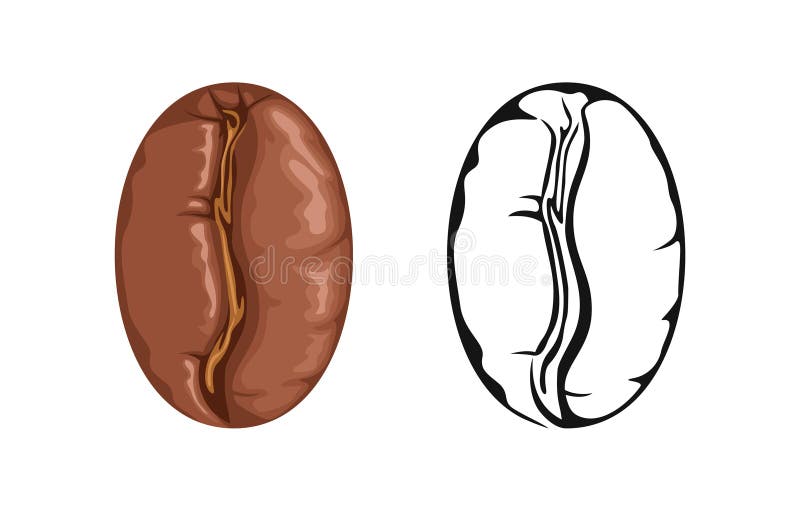 Coffee Bean Cartoon Illustration and Black and White Outline. Stock ...