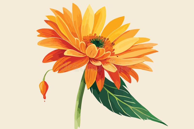 Calendula Flower Watercolor Illustration Made with Ai Stock Vector ...