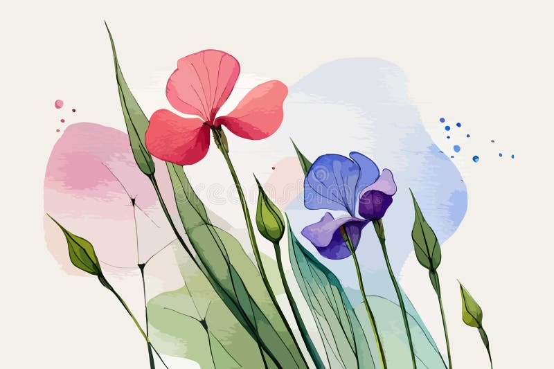 Sweet-pea Flower Watercolor Art and Illustration Created with Ai Stock ...
