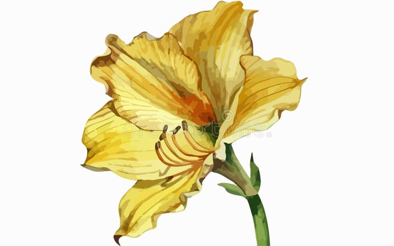 Amaryllis Flower Watercolor Art and Illustration Created with Ai Stock ...