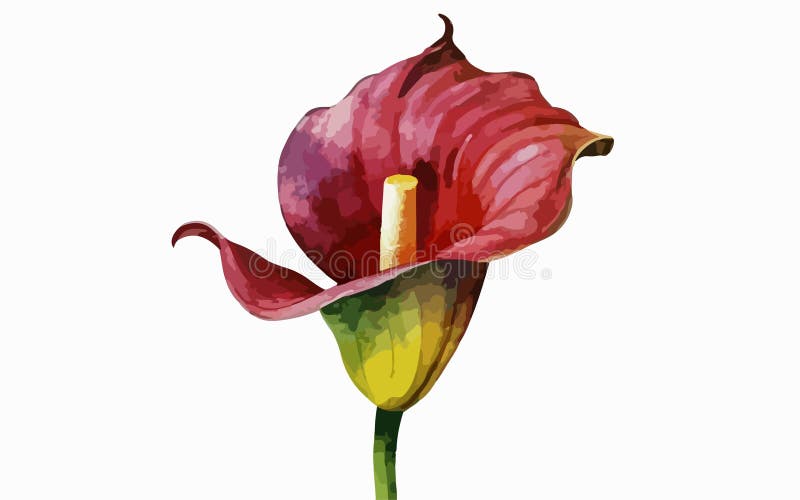 Red Calla Lily Flower Watercolor Art and Illustration Created with Ai ...