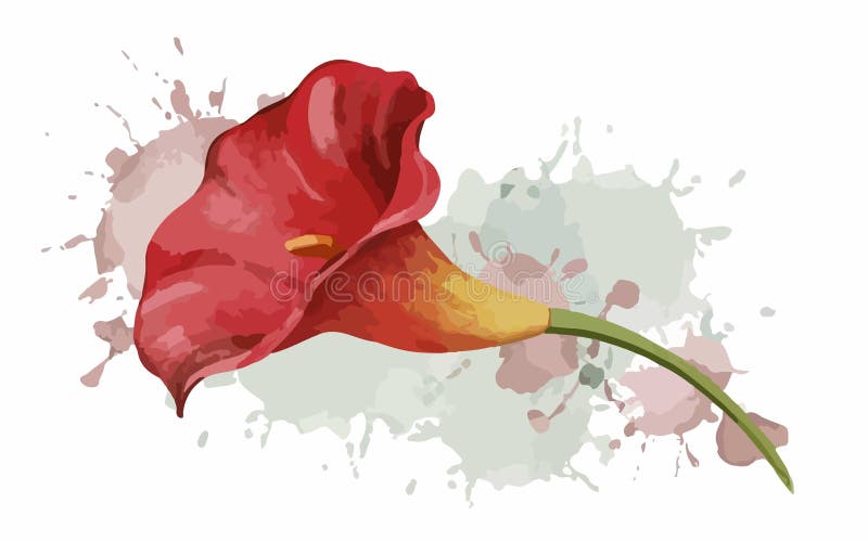Red Calla Lily Flower Watercolor Art and Illustration Created with Ai ...