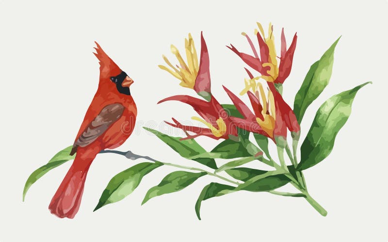 Cardinal Flower Watercolor Created with AI, Nice Looking Stock Vector ...