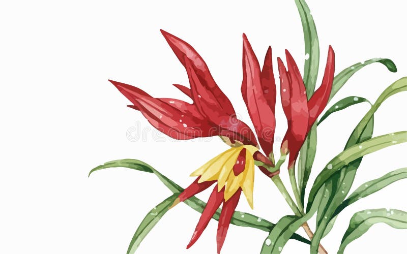 Cardinal Flower Watercolor Created with AI, Nice Looking Stock Vector ...