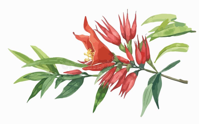Cardinal Flower Watercolor Created with AI, Nice Looking Stock Vector ...
