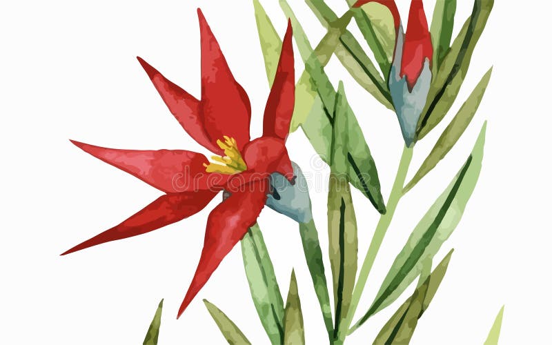 Cardinal Flower Watercolor Created with AI, Nice Looking Stock Vector ...