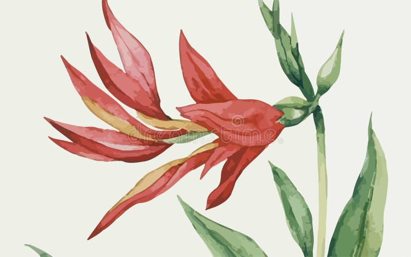 Cardinal Flower Watercolor Created with AI, Nice Looking Stock Vector ...