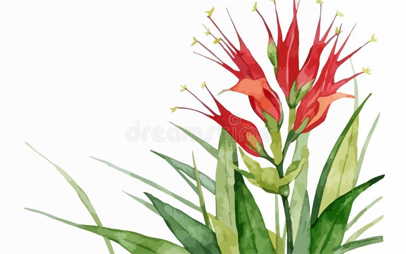 Cardinal Flower Watercolor Created with AI, Nice Looking Stock Vector ...
