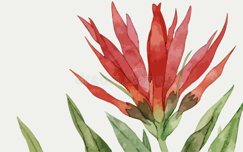 Cardinal Flower Watercolor Created with AI, Nice Looking Stock Vector ...