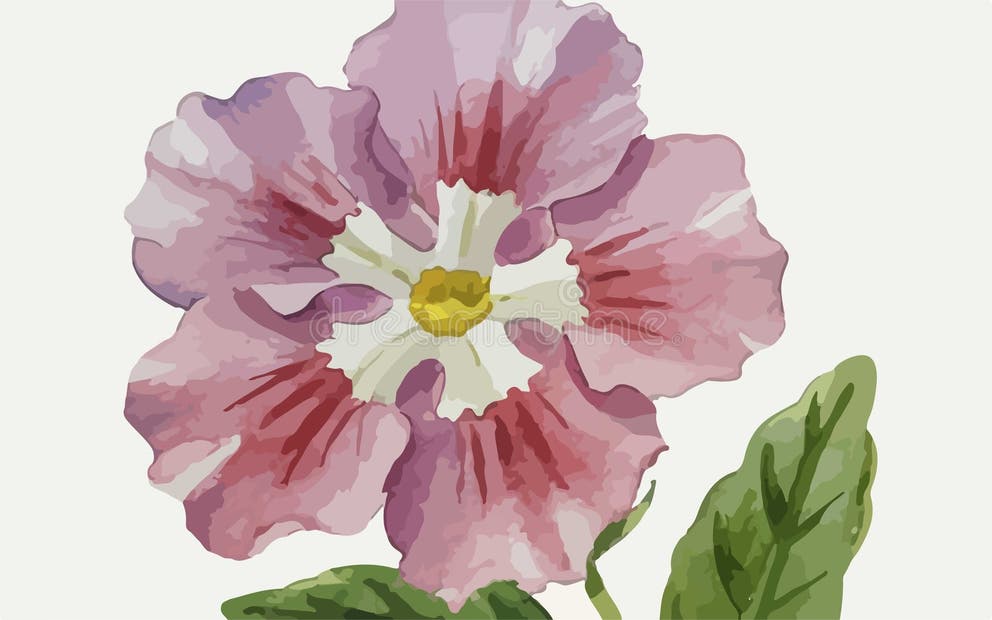 Cape Primrose Flower Watercolor Art and Illustration Created with AI ...