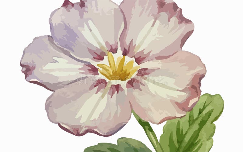 Cape Primrose Flower Watercolor Art and Illustration Created with AI ...