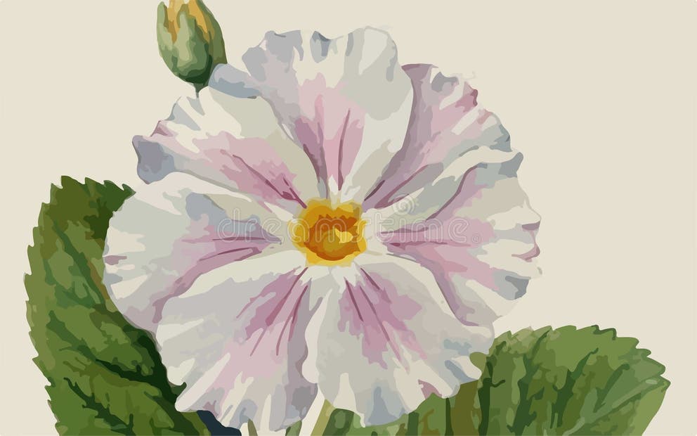 Cape Primrose Flower Watercolor Art and Illustration Created with AI ...