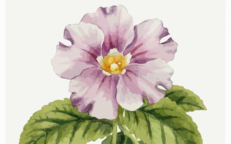Cape Primrose Flower Watercolor Art and Illustration Created with AI ...