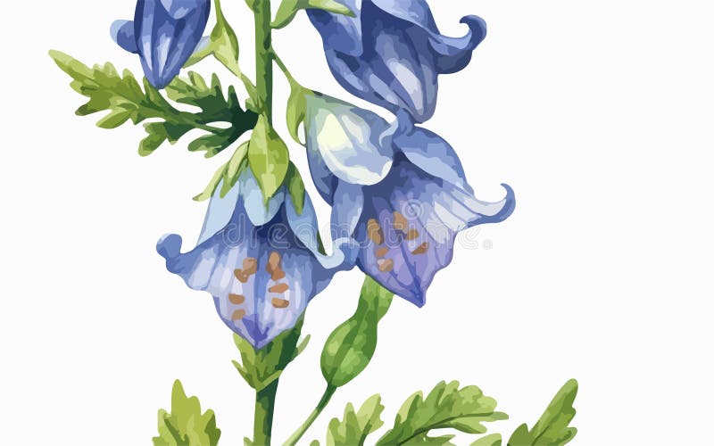 Aconitum Flower Watercolor Art and Illustration Created with AI Use Any ...
