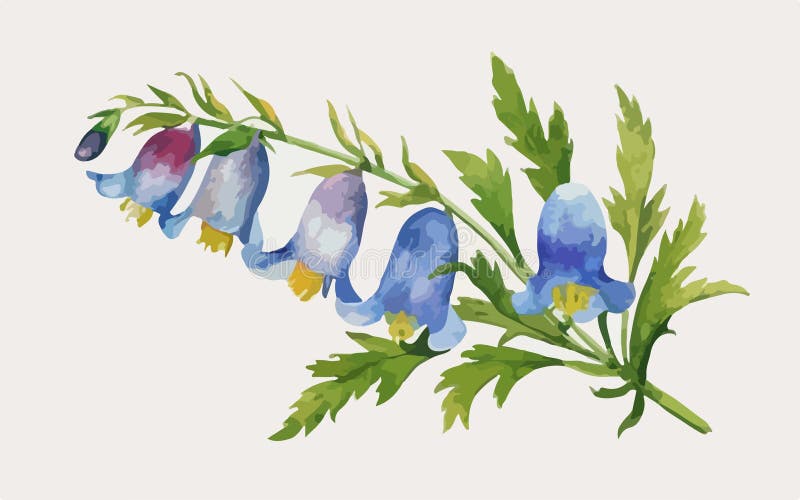 Aconitum Flower Watercolor Art and Illustration Created with AI Use Any ...