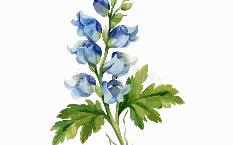 Aconitum Flower Watercolor Art and Illustration Created with AI Use Any ...
