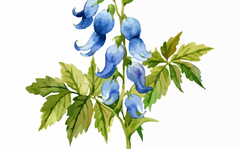 Aconitum Flower Watercolor Art and Illustration Created with AI Use Any ...