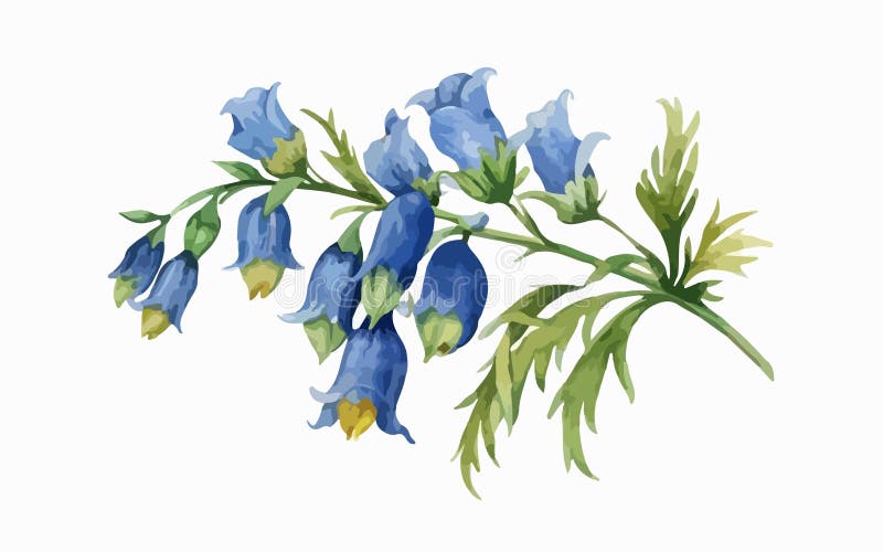 Aconitum Flower Watercolor Art and Illustration Created with AI Use Any ...