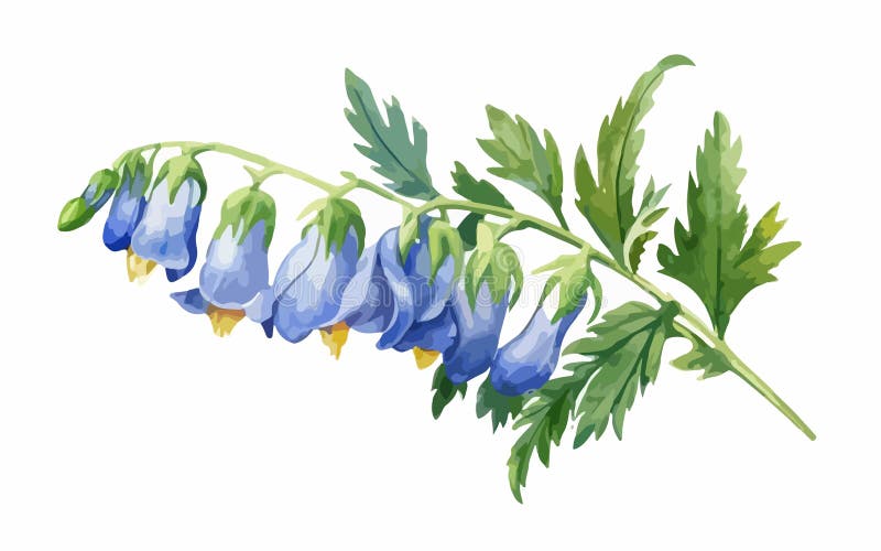Aconitum Flower Watercolor Art and Illustration Created with AI Use Any ...
