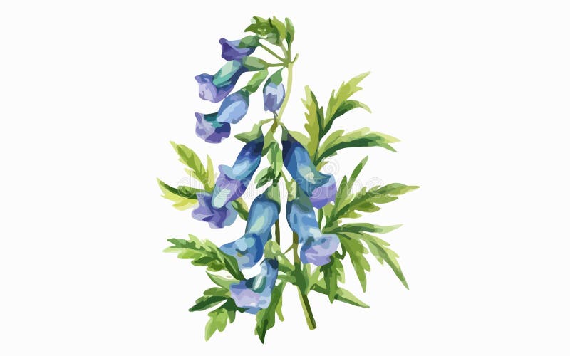 Aconitum Flower Watercolor Art and Illustration Created with AI Use Any ...