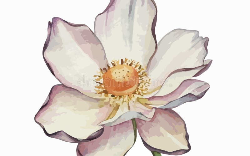 Angel Eyes Flower Watercolor Art and Illustration Created with AI Use ...