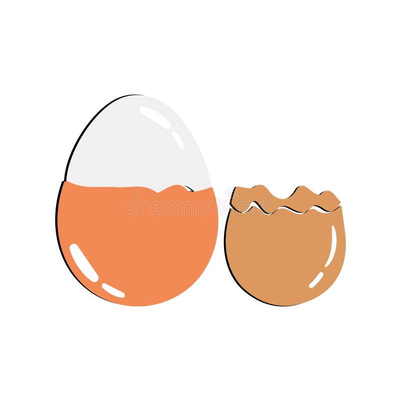 Egg Vector Illustration, Collection of Whole, Broken, Fried, Yolks ...