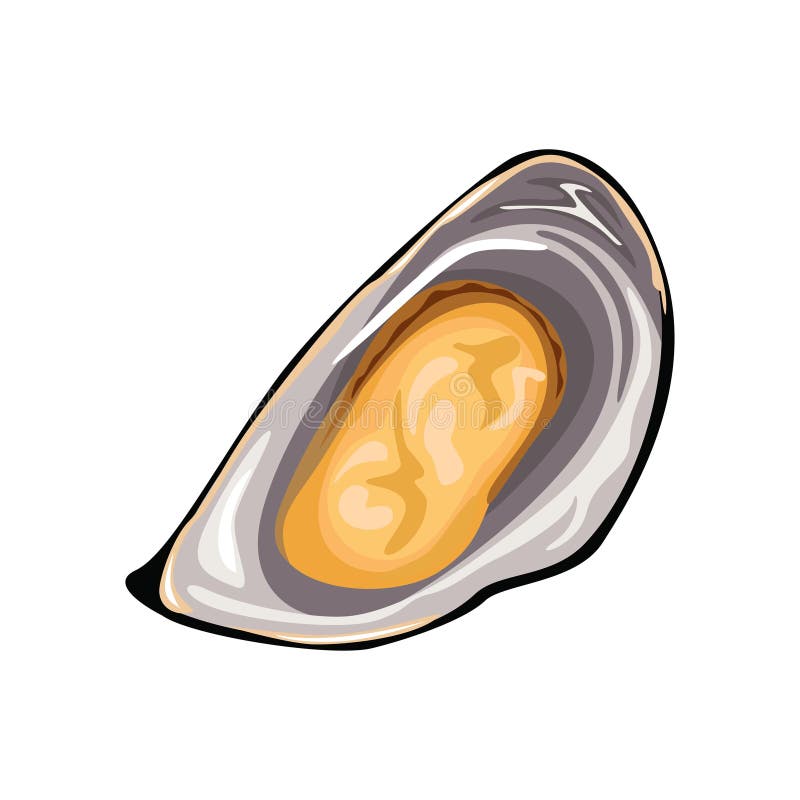 Single Cartoon Mussel Illustration Stock Illustrations – 47 Single ...