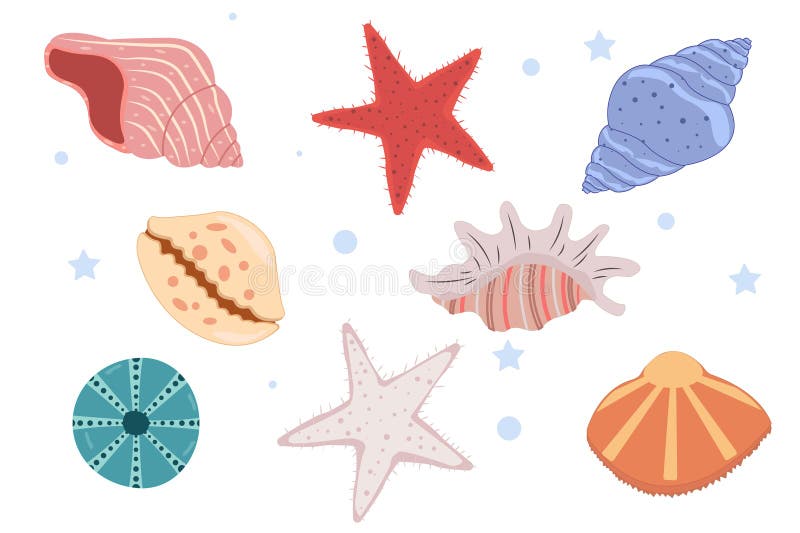 A Set of Seashells, Mollusks, Starfish of Different Shapes and Color ...