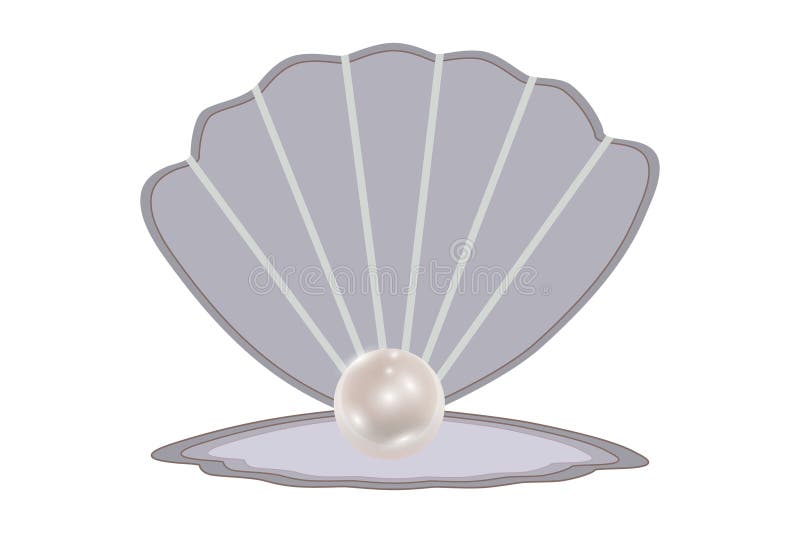 Pearl Shell. Vector Realistic Beautiful Natural Open Oyster Shell with ...