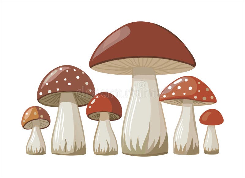 Funky toadstool stock illustration. Illustration of fungi - 1021705