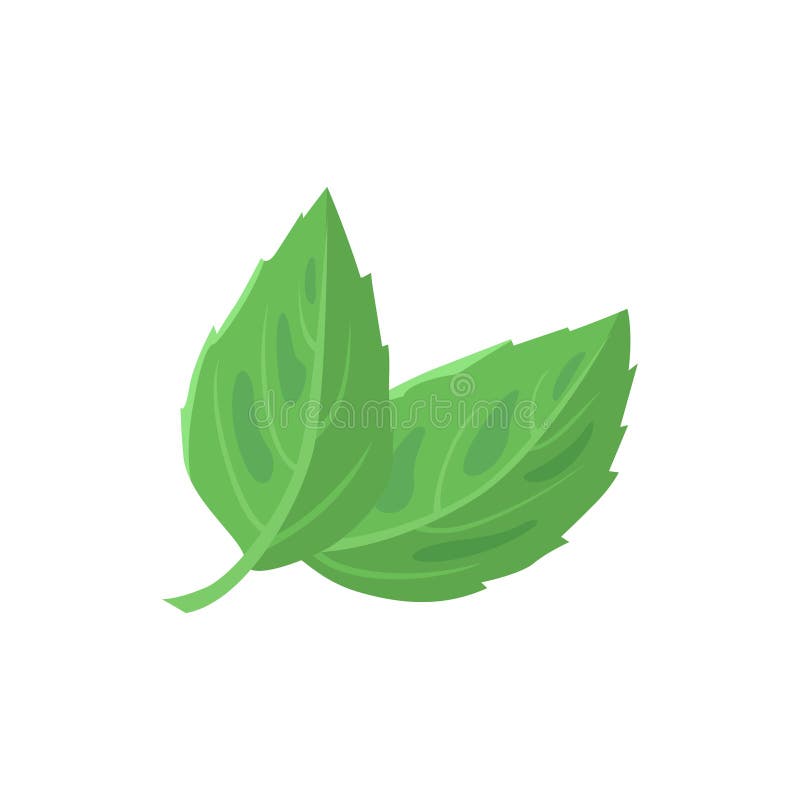 Mint Leaf Icon. Vector Flat Simple Illustration of Green Mint Leaves ...