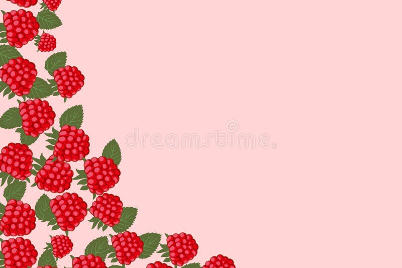 Fruit Background with Raspberries. Juicy Ripe Raspberry. Pink ...