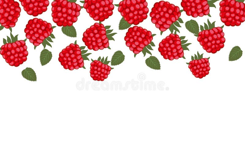 Fruit Background with Raspberries. Juicy Ripe Raspberry. Pink ...