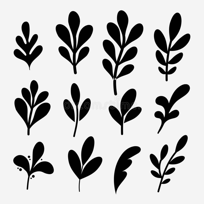 Beautiful Collection of Decorative, Ornamental Branches Hand Drawn ...