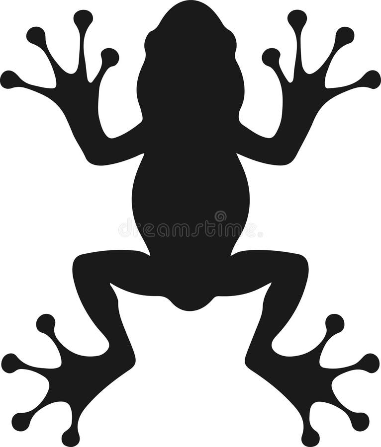 Art and Illustration of a Wild Frog Xenopus. Stock Vector ...