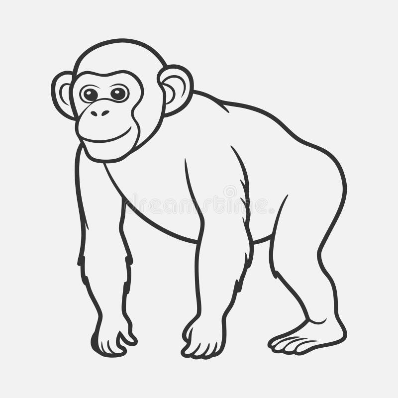 Chimpanzee Line Drawing Stock Illustrations – 3,017 Chimpanzee Line ...