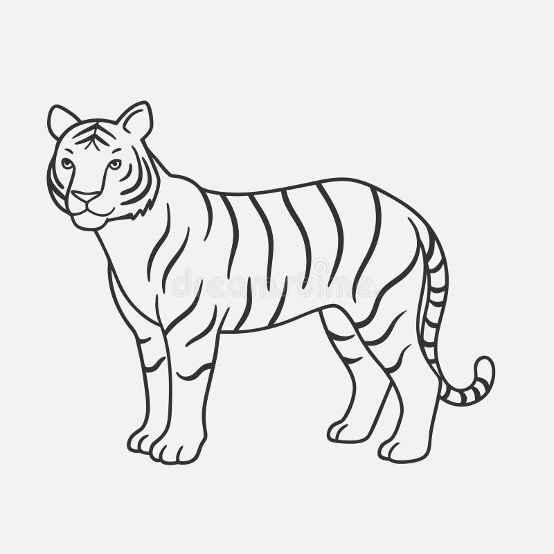 Tiger Line Art Stock Illustrations – 17,813 Tiger Line Art Stock ...