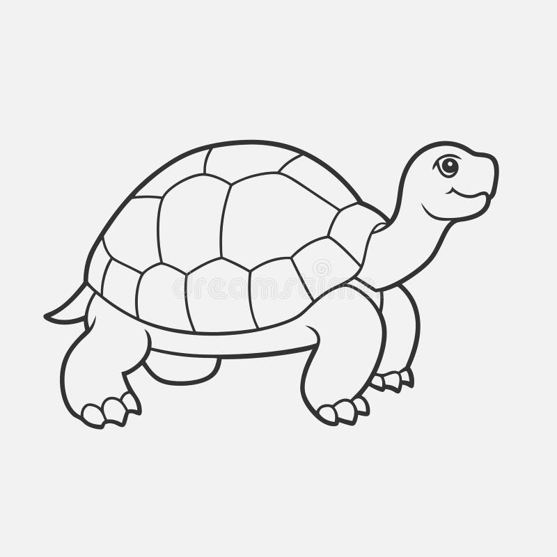 Exquisite Tortoise Line Art Vector - Detailed, High-Quality ...