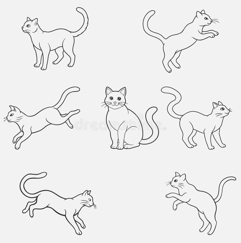 Ultimate Cat Line Art Vector Set Stock Illustrations – 2 Ultimate Cat Line Art Vector Set Stock ...