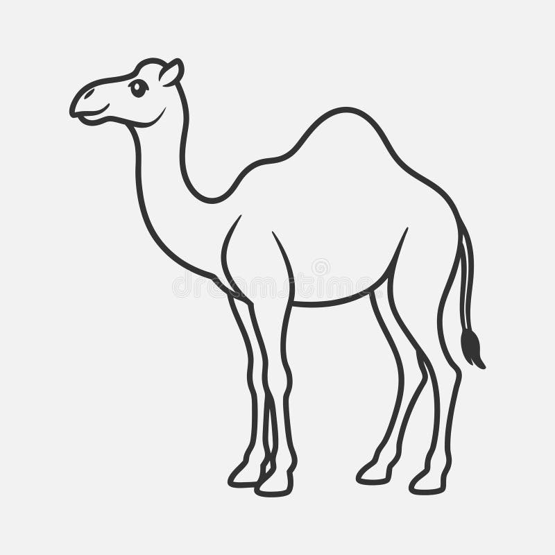 Majestic Camel Line Art Vector, an Artistic Masterpiece Stock Vector ...