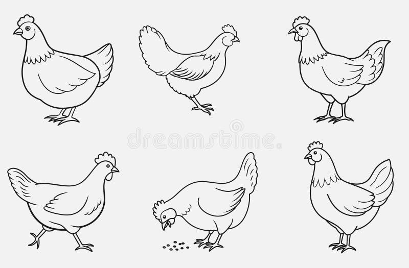 Elegant Hen Line Art Set Vector, High-Quality and Versatile Designs ...