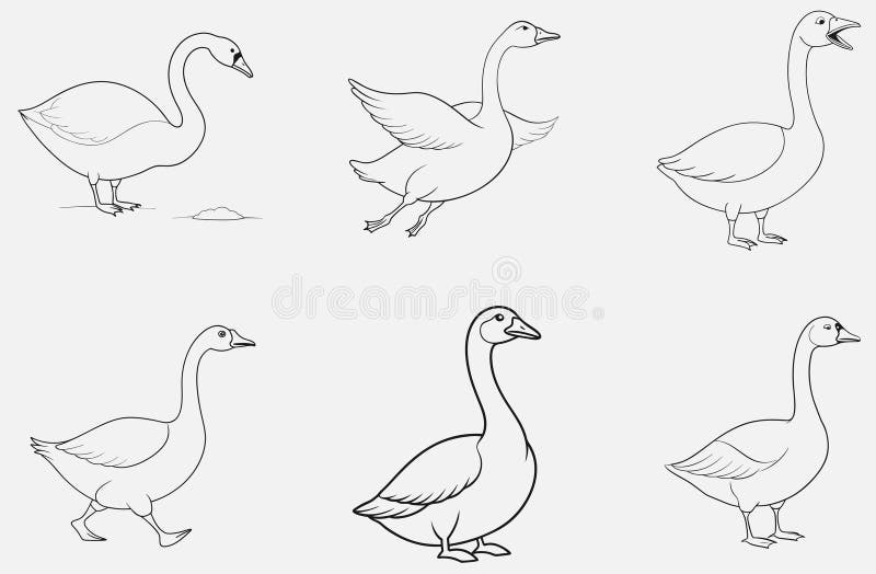 Majestic Goose Line Art Mega Collection Stock Vector - Illustration of ...